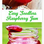 Easy Seedless Raspberry Jam -- so quick to make! | Fab Food 4 All