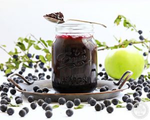 Sloe & Apple Jam + video tutorial & pitting hacks! | Fab Food 4 All