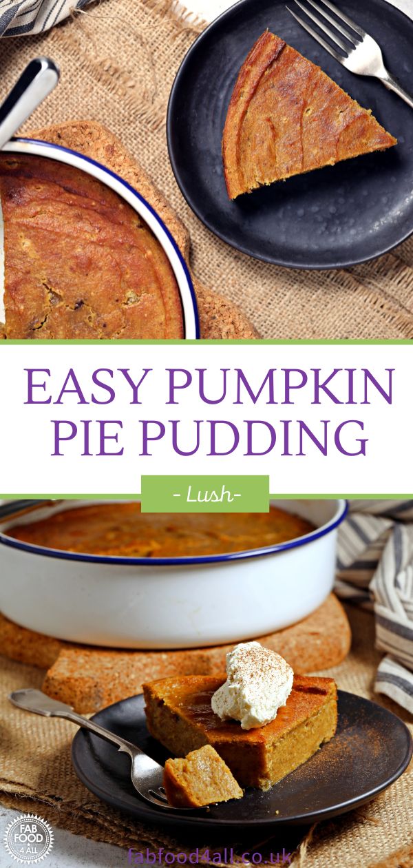 Easy Pumpkin Pie Pudding - crustless! | Fab Food 4 All