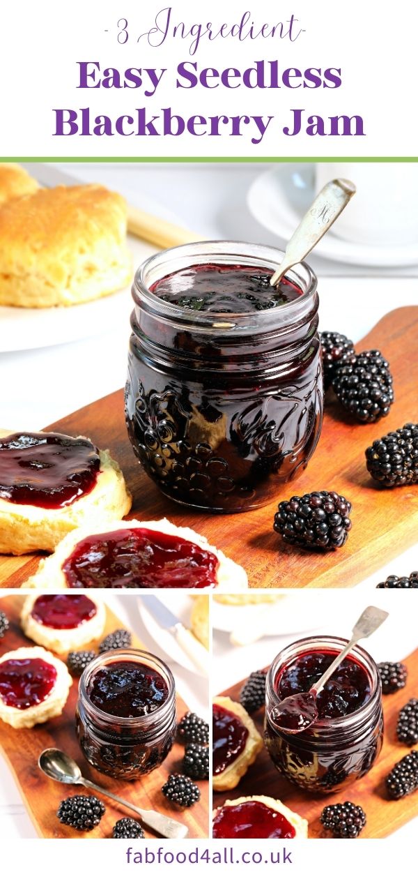 Easy Seedless Blackberry Jam (Prize Winning) | Fab Food 4 All