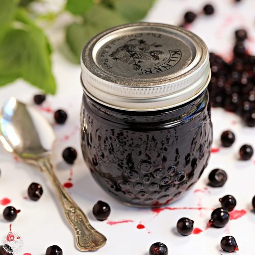 Easy Blackcurrant Jam Recipe (No Pectin)